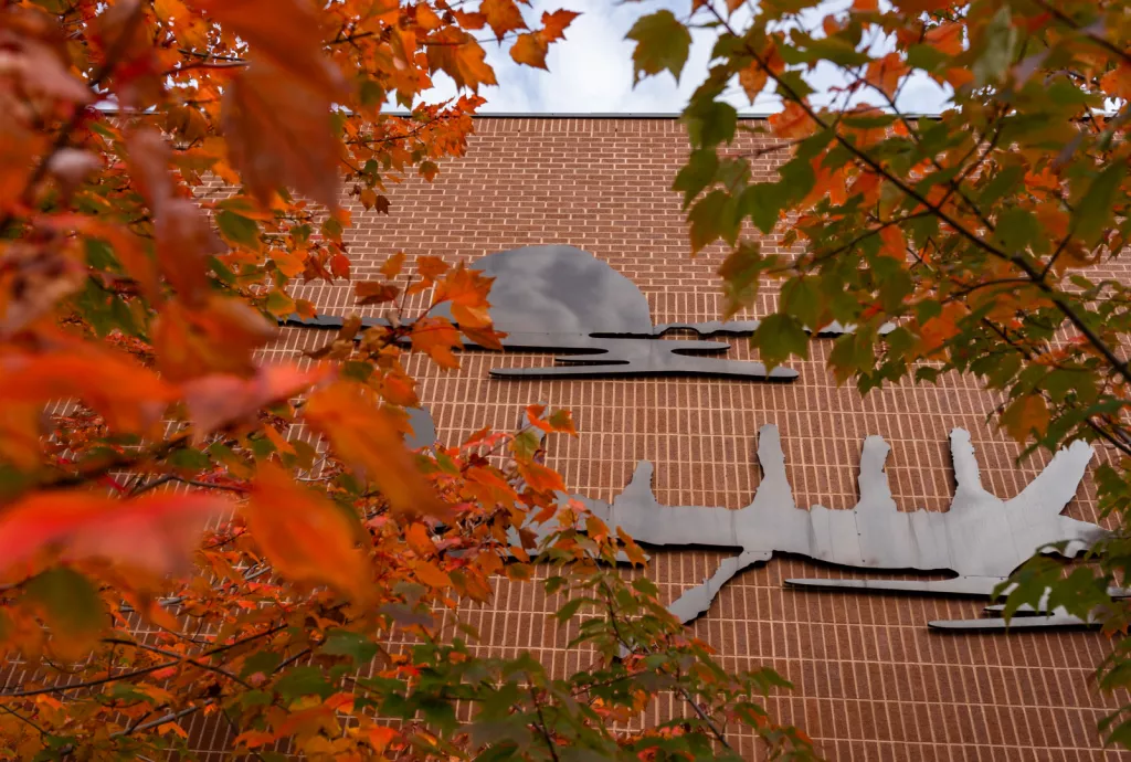 Confederation College - Premier Education in Ontario, Canada